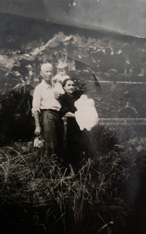 Discover your Madeiran Roots today! - Madeira Lineage.